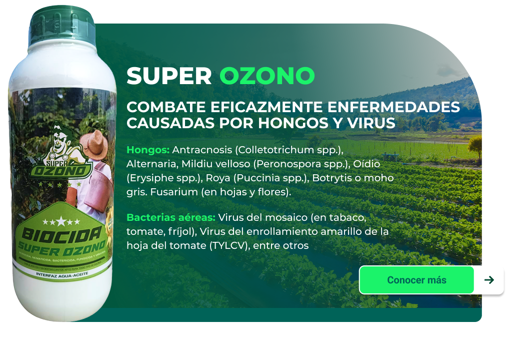 Superozono